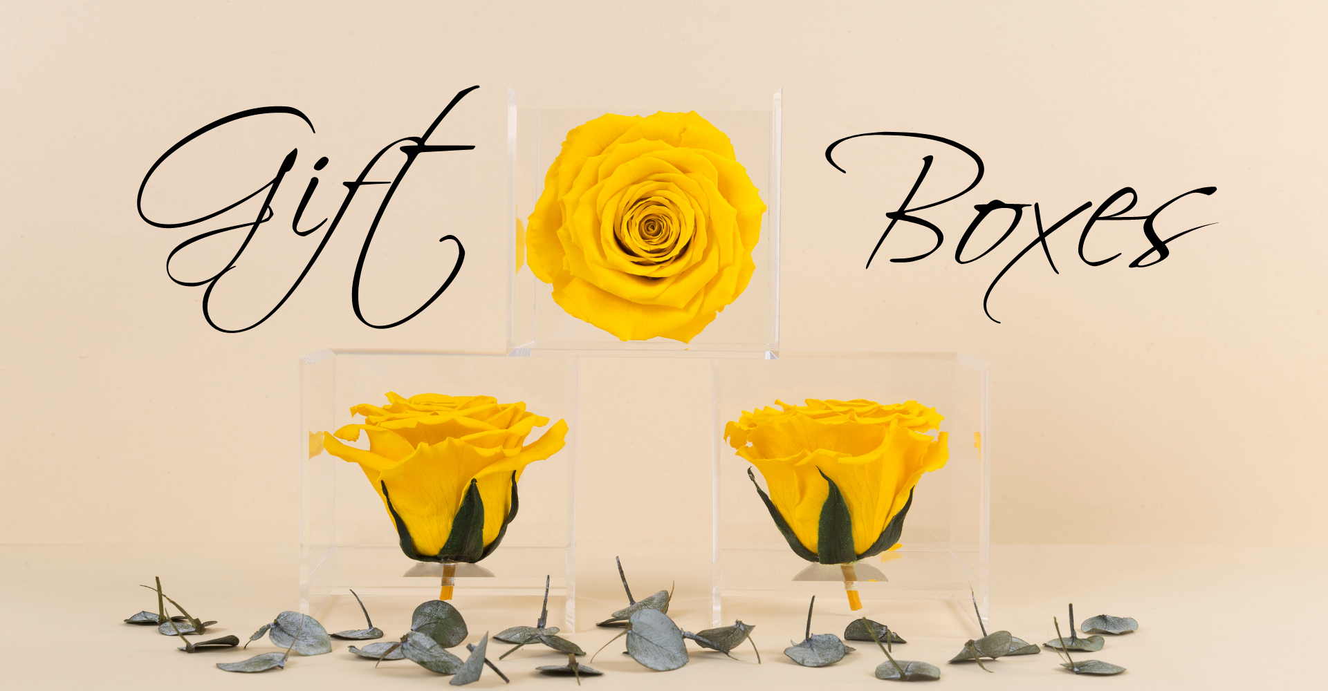 Gift Boxes - Roseamor